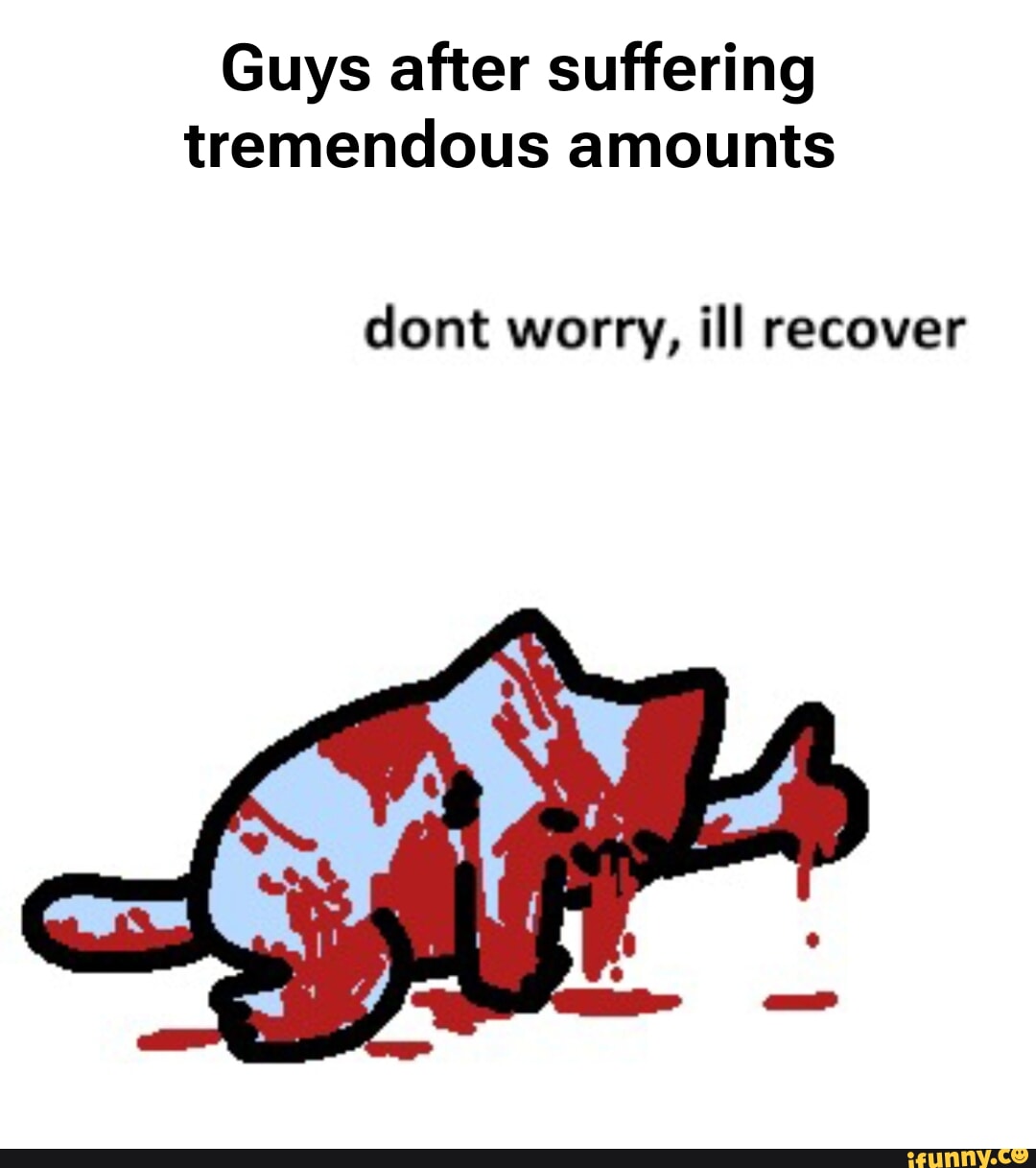 Guys after suffering tremendous amounts dont worry, ill recover - iFunny
