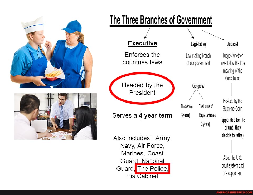 The Three Branches of Government Executive slat ick Enforces the Law ...