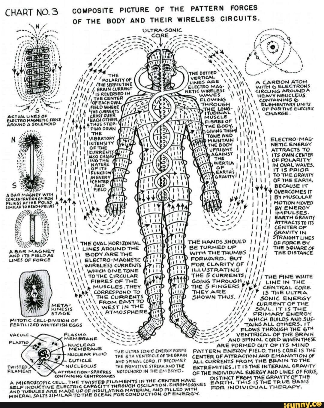 CHART NO.3 ULTRA-SONIC CORE COMPOSITE PICTURE OF THE PATTERN FORCES OF ...