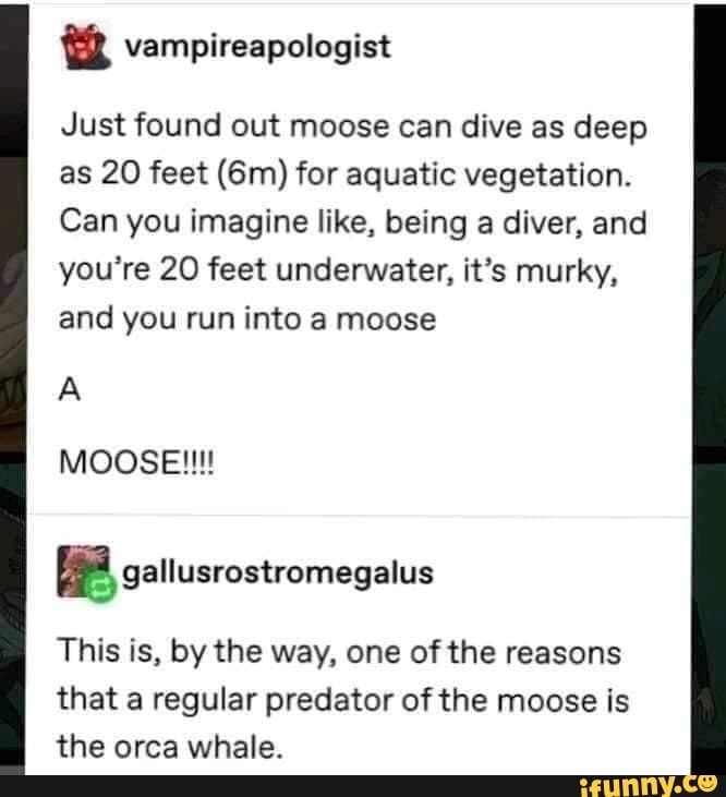 Murky memes. Best Collection of funny Murky pictures on iFunny