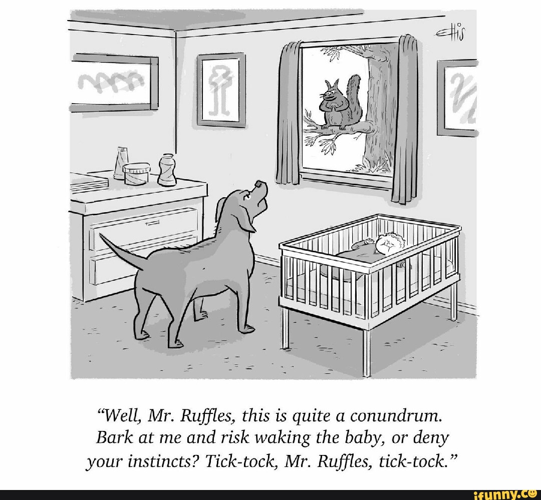 "Well, Mr. Ruffles, this is quite a conundrum. Bark at me and risk ...