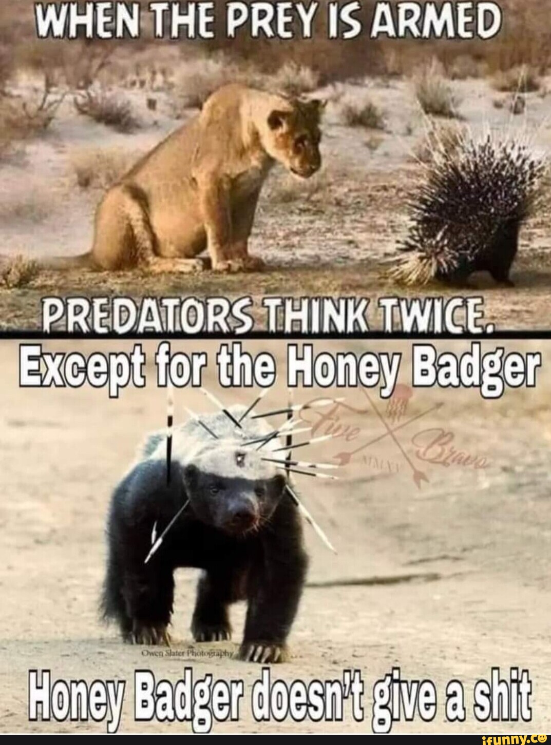 WHEN THE PREY IS ARMED PRERATORS THINK TWICE. Except for the Honey ...