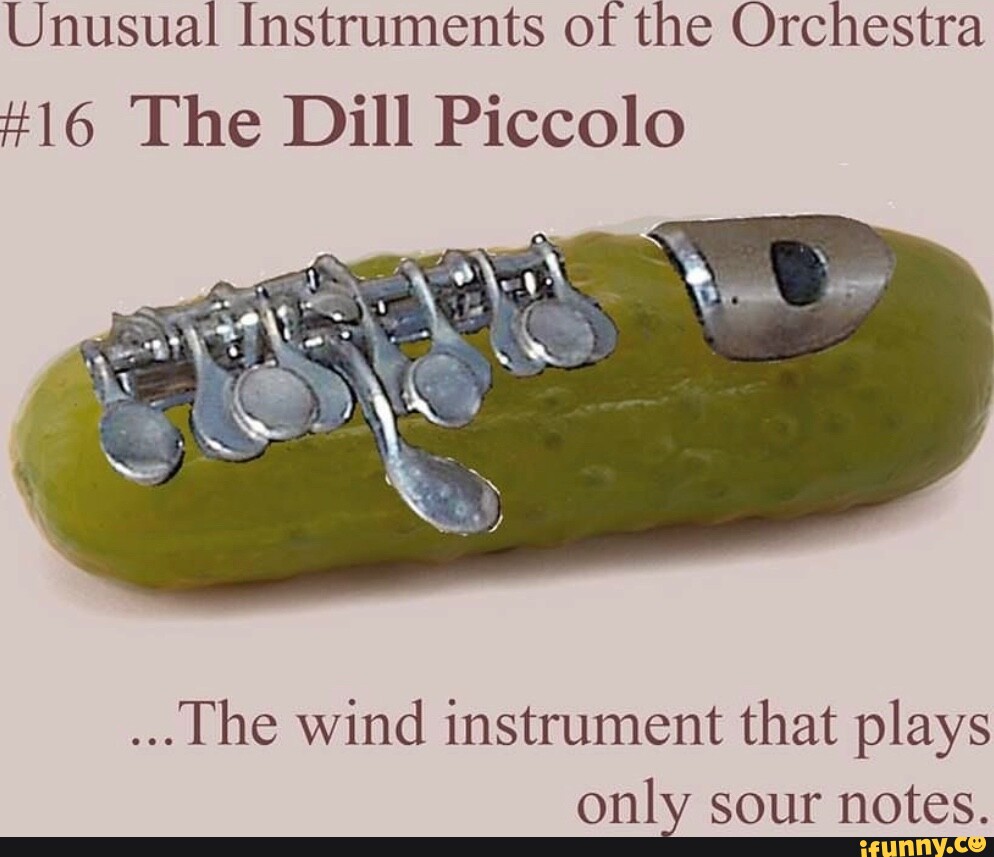 Unusual Instruments of the Orchestra #16 The Dill Piccolo ag The wind ...