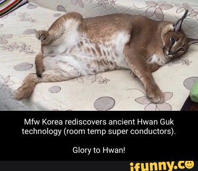 Guk memes. Best Collection of funny Guk pictures on iFunny