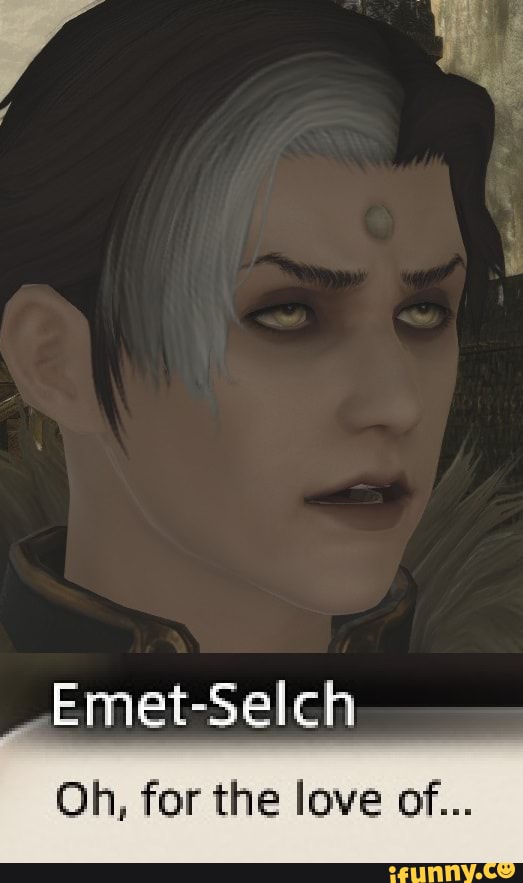 Selch memes. Best Collection of funny Selch pictures on iFunny