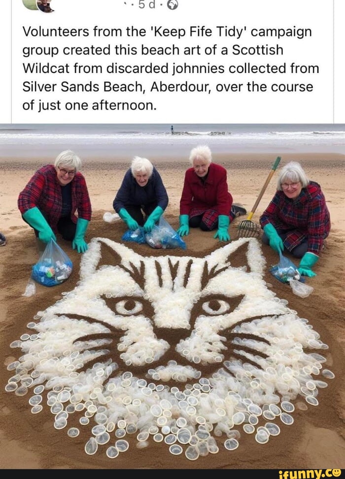 Wildcat memes. Best Collection of funny Wildcat pictures on iFunny