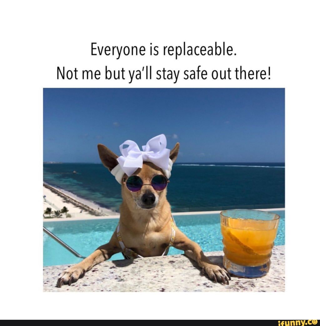 Everyone is replaceable. Not me but ya'll stay safe out there! - iFunny