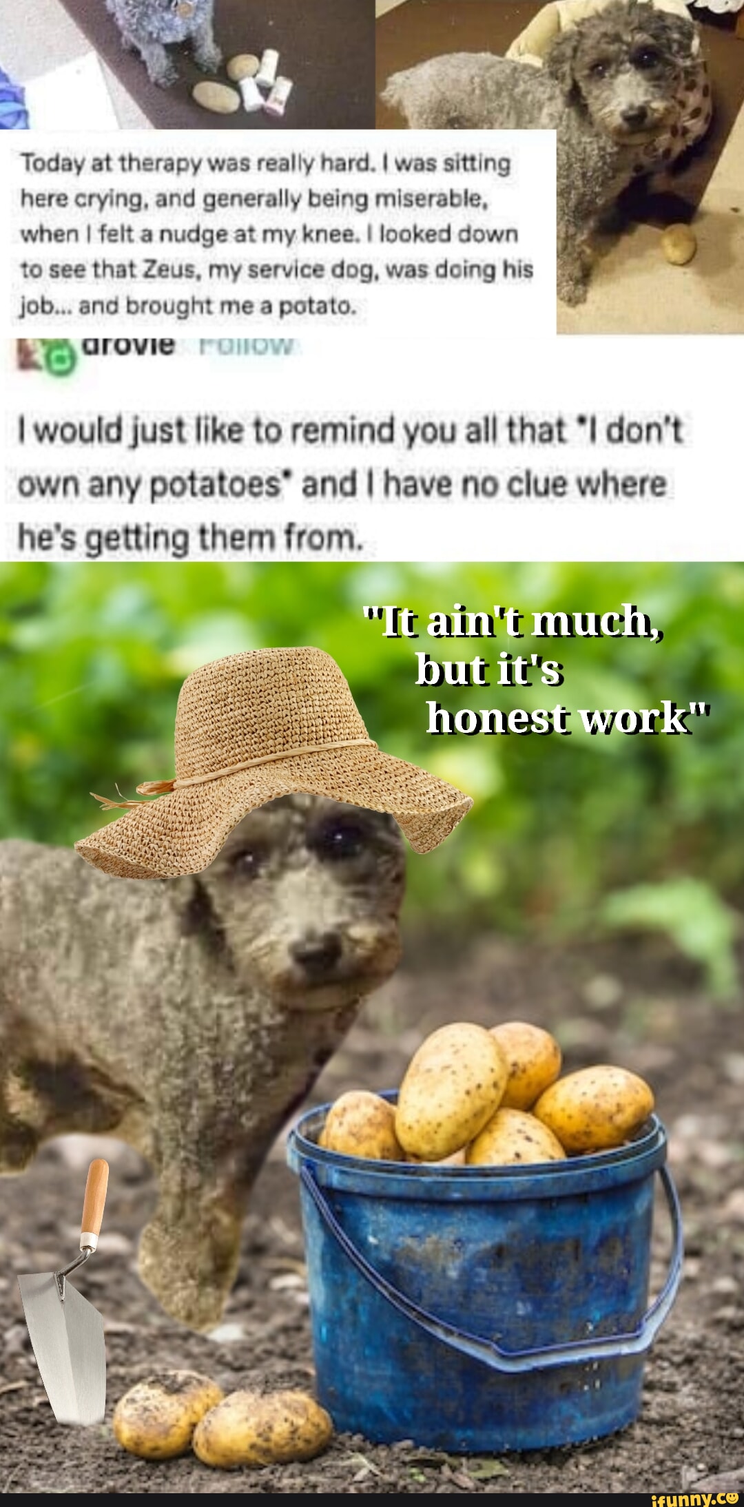 "Are we a joke to you?" - iFunny