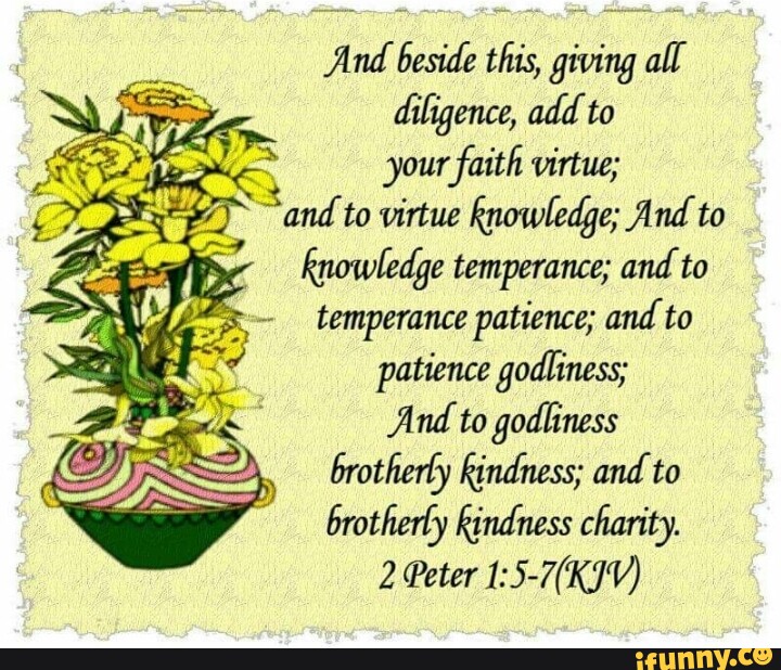 Diligence memes. Best Collection of funny Diligence pictures on iFunny