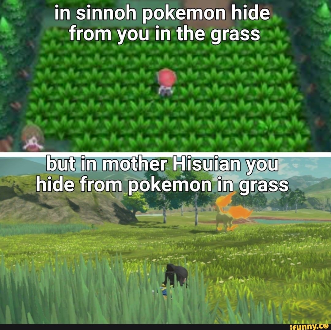 Using image meme Using gif meme - )