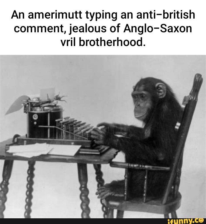 Amerimutt memes. Best Collection of funny Amerimutt pictures on iFunny