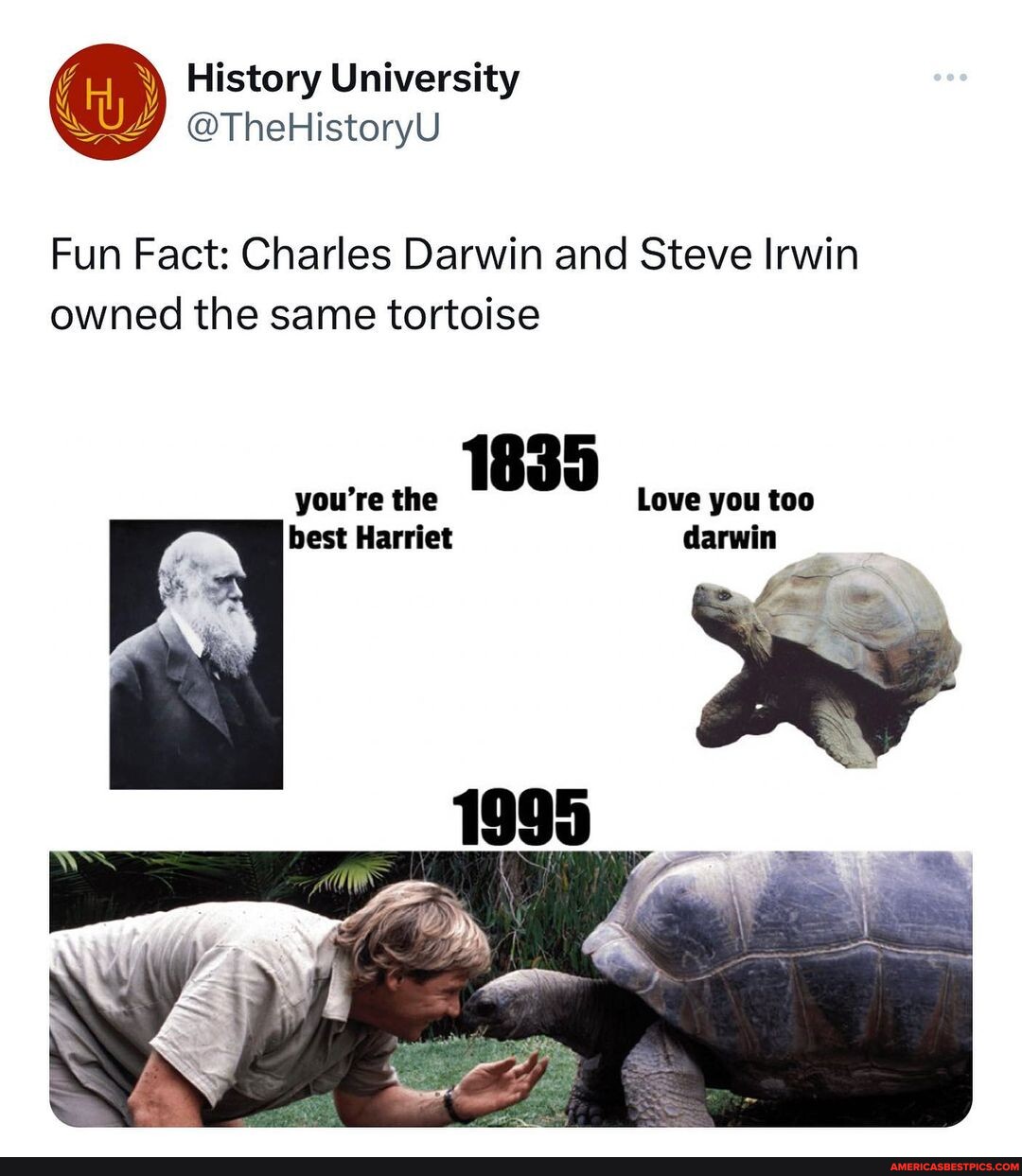 Well you might say the Tortoise owned them. #history #historymemes # ...