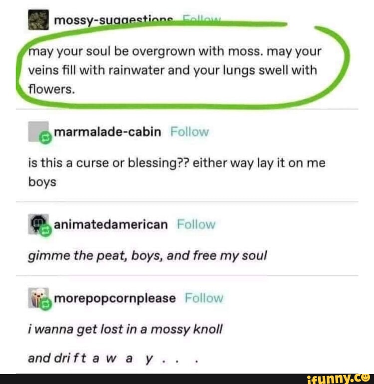 Moss memes. Best Collection of funny Moss pictures on iFunny
