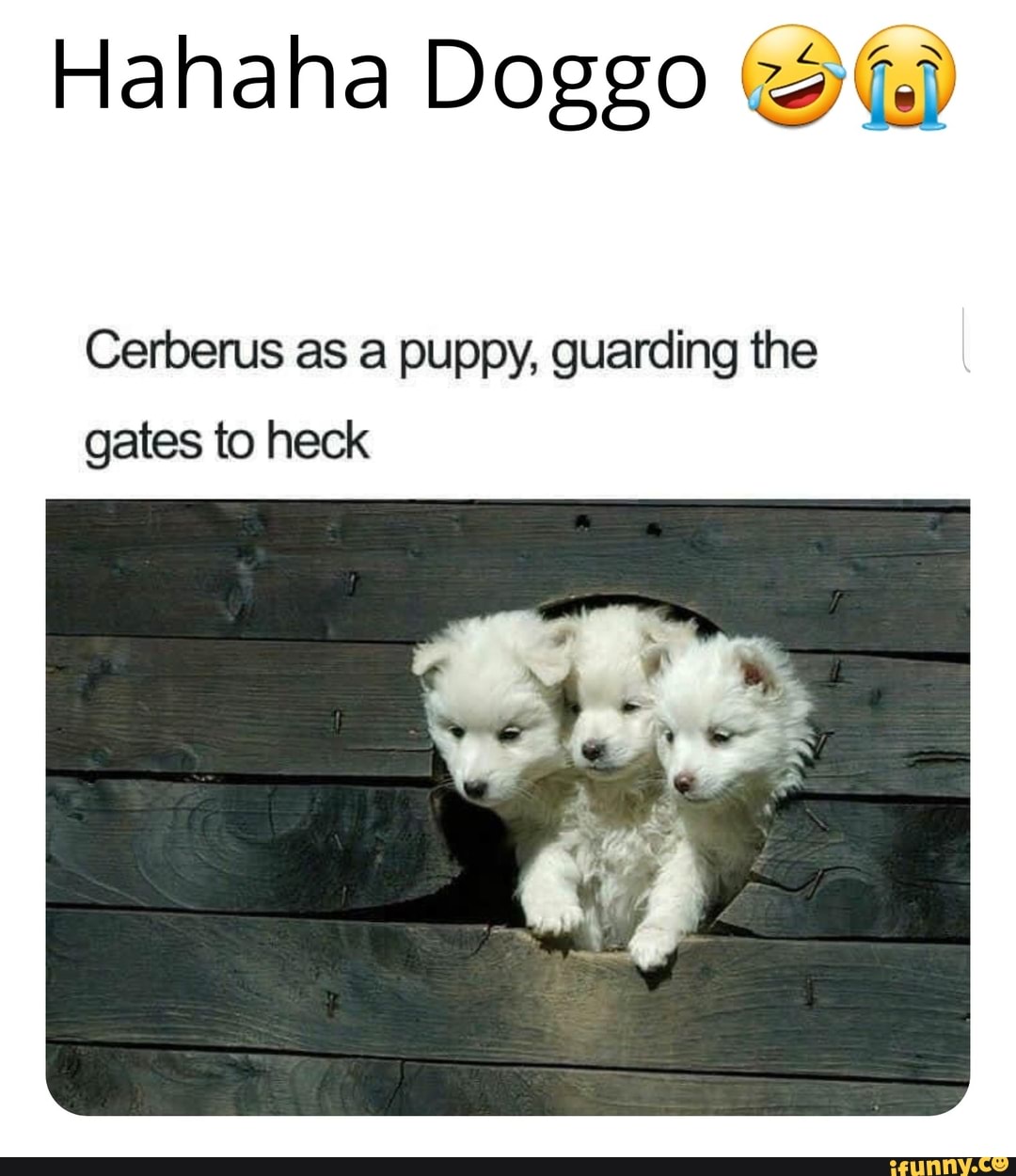 N Hahaha Doggo© ” Cerberus as a puppy, guarding the gates to heck - iFunny
