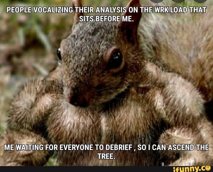 Debrief memes. Best Collection of funny Debrief pictures on iFunny