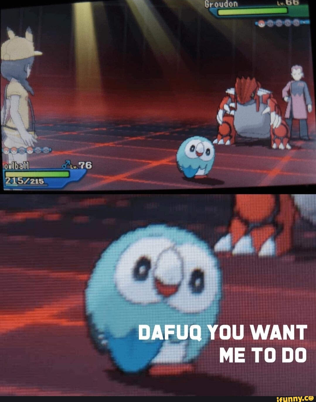 DAFUQ YOU WANT ME TO DO - iFunny