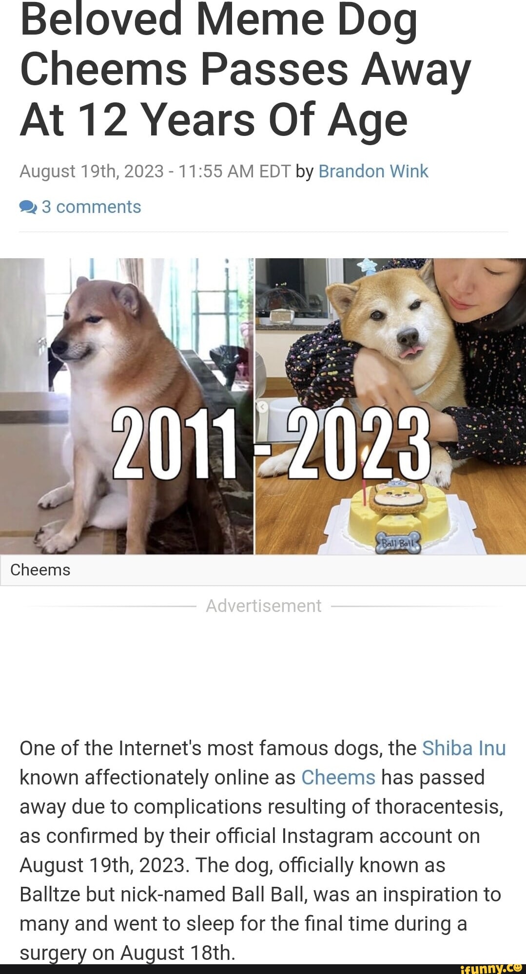 Beloved Meme Dog Cheems Passes Away At 12 Years Of Age August 19th ...