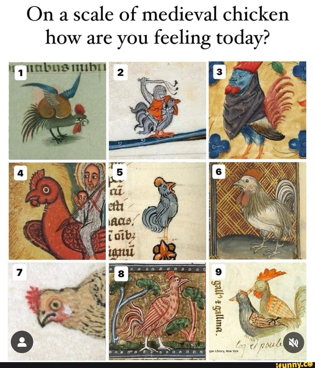 On a scale of medieval chicken how are you feeling today? - iFunny