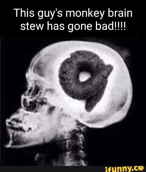 This guy's monkey brain stew has gone bad!!! - iFunny