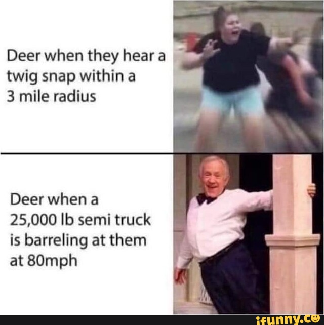Radius memes. Best Collection of funny Radius pictures on iFunny
