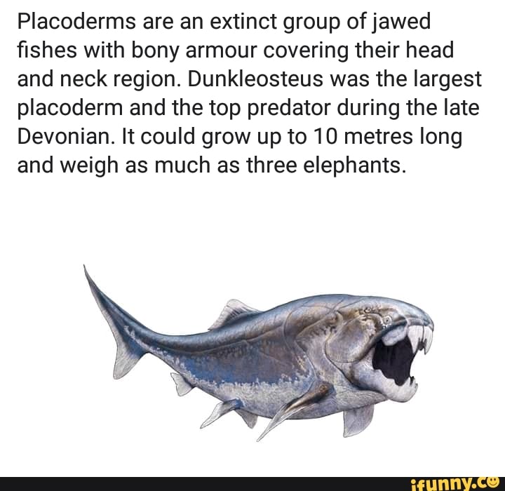 Placoderms are an extinct group of jawed ﬁshes with bony armour ...