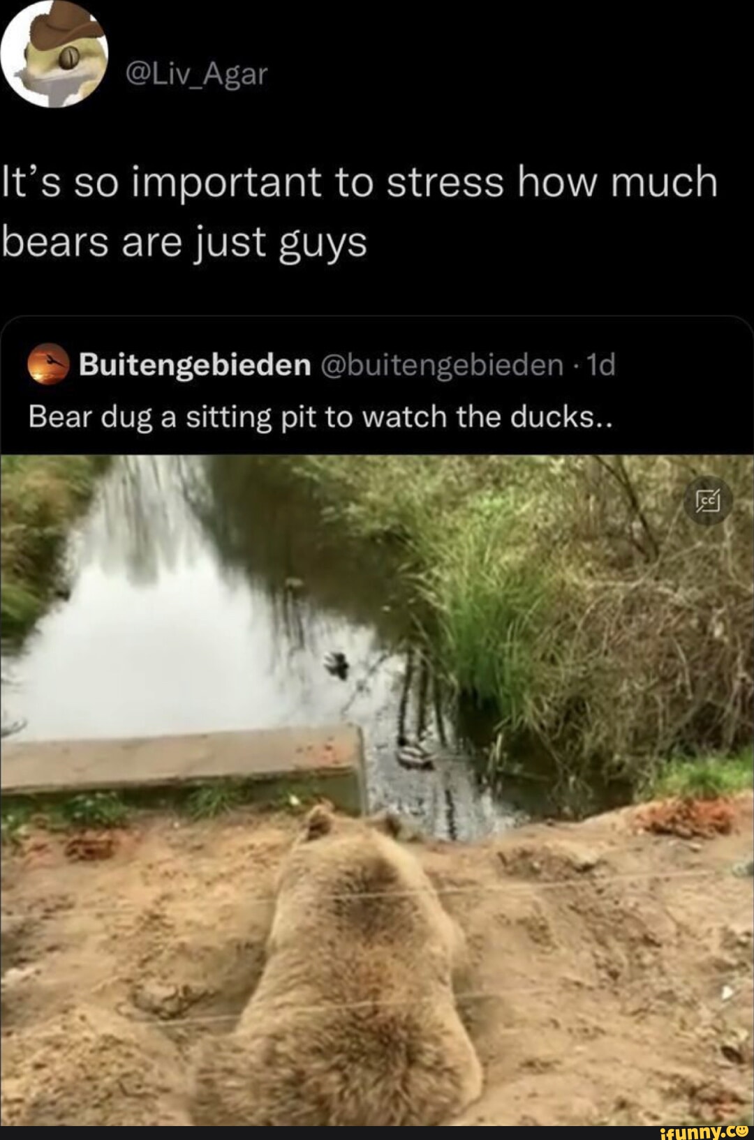 @Liv_Agar It's so important to stress how much bears are just guys ...