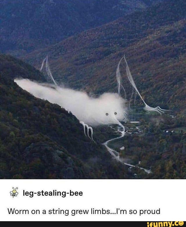 Leg-stealing-bee Worm on a string grew limbs...I'm so proud - iFunny