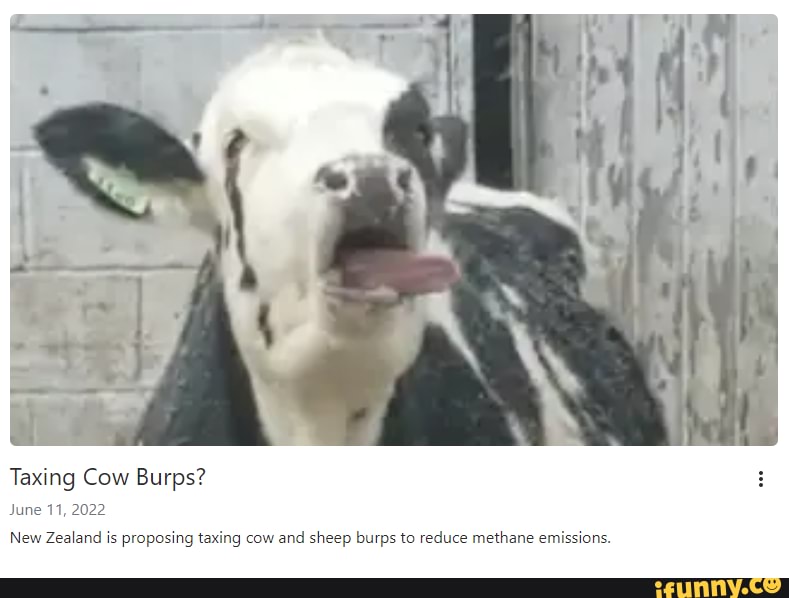 Taxing Cow Burps? June 11, 2022 New Zealand is proposing taxing cow and ...