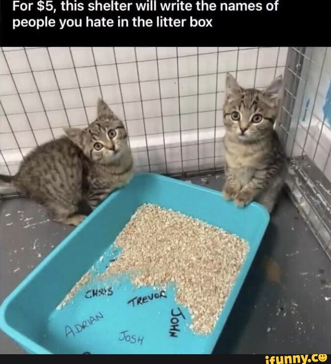 For $5, this shelter will write the names of people you hate in the ...