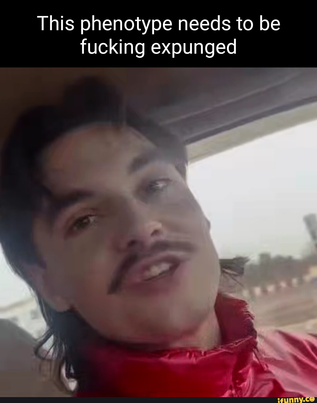 Phenotype memes. Best Collection of funny Phenotype pictures on iFunny