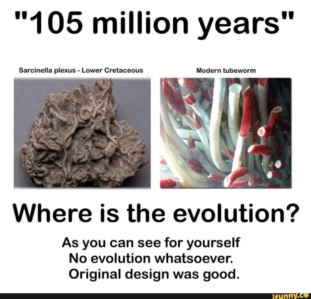 Plexus memes. Best Collection of funny Plexus pictures on iFunny