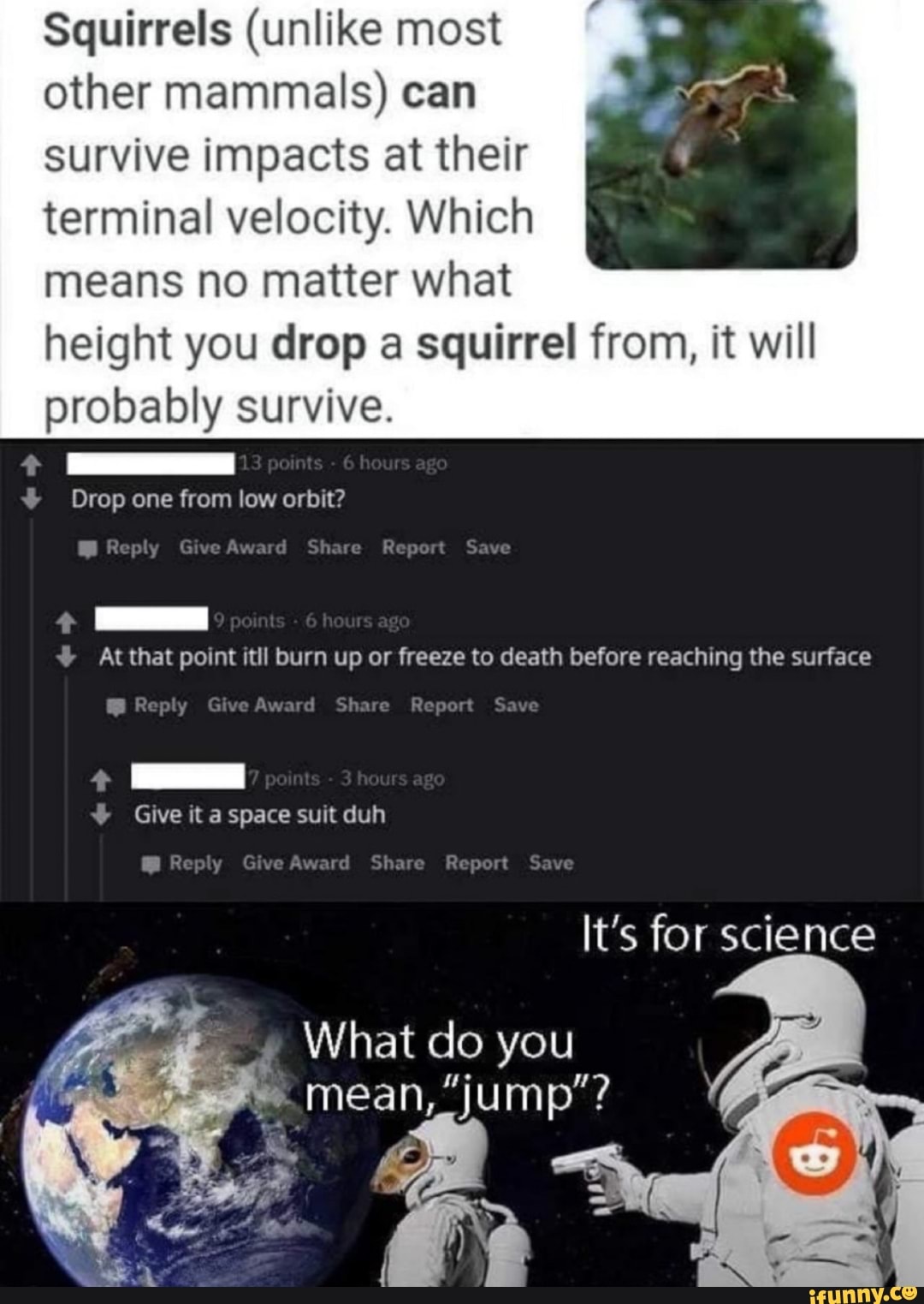 Squirrels (unlike most other mammals) can survive impacts at their ...