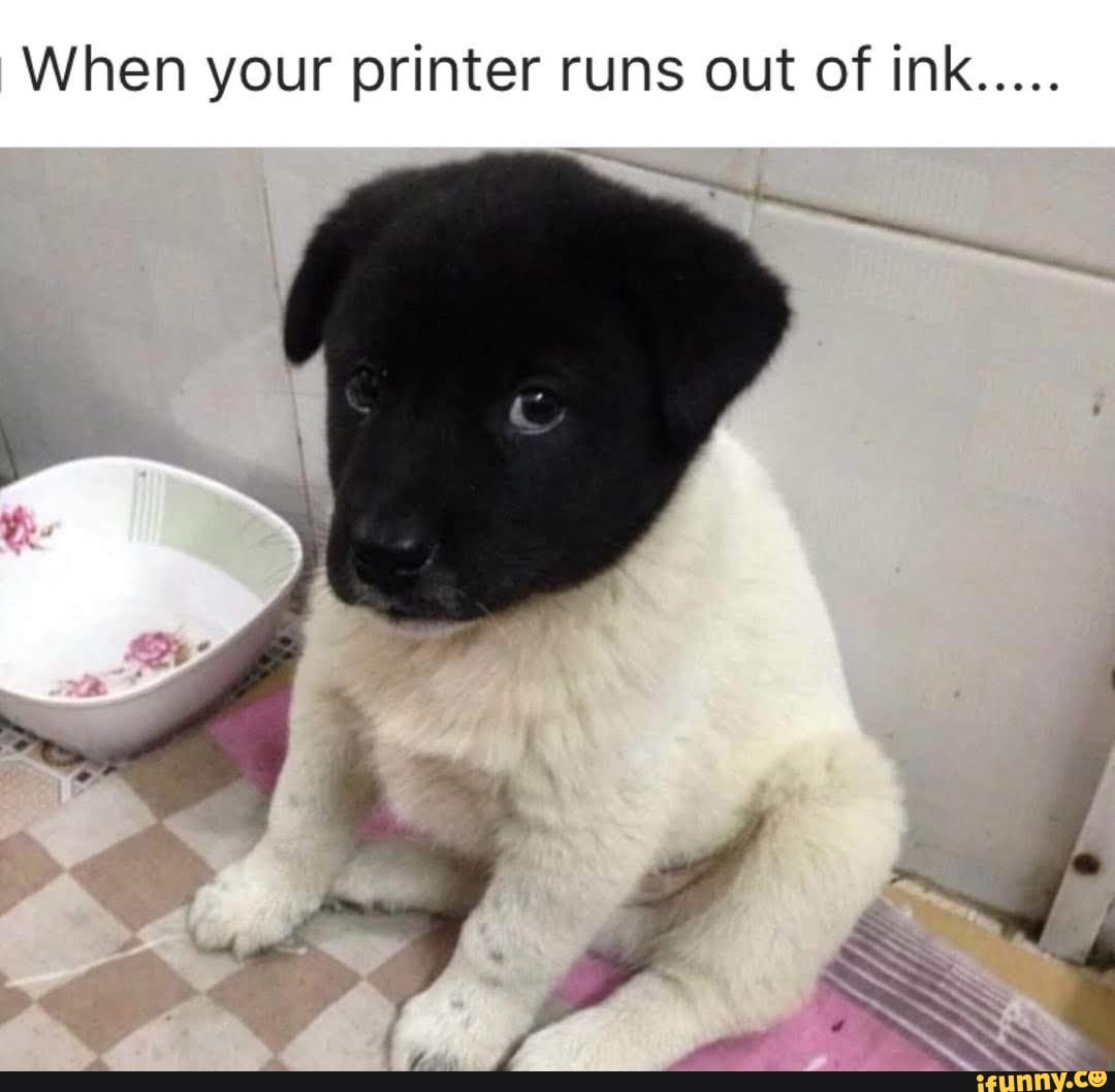 Printer memes. Best Collection of funny Printer pictures on iFunny
