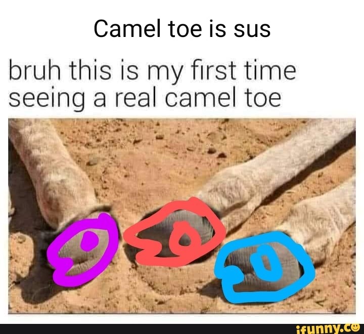 Camel toe is sus bruh this is my first time seeing a real camel toe ...