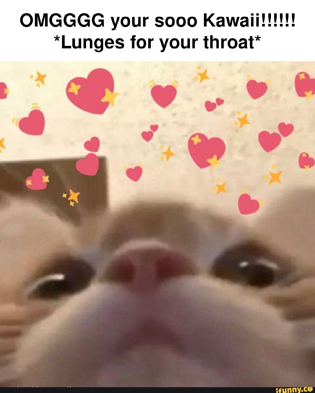 Lunges memes. Best Collection of funny Lunges pictures on iFunny