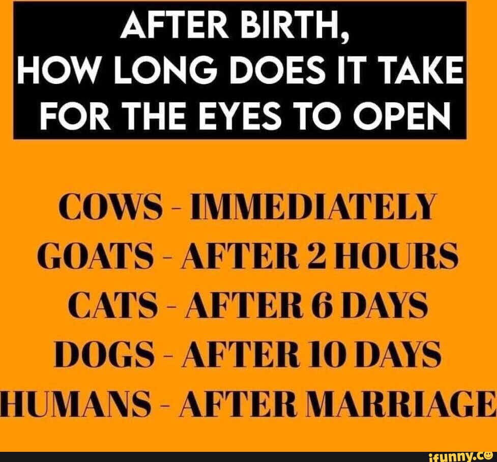 For though we walk in the flesh, we are not waging war according to the ...