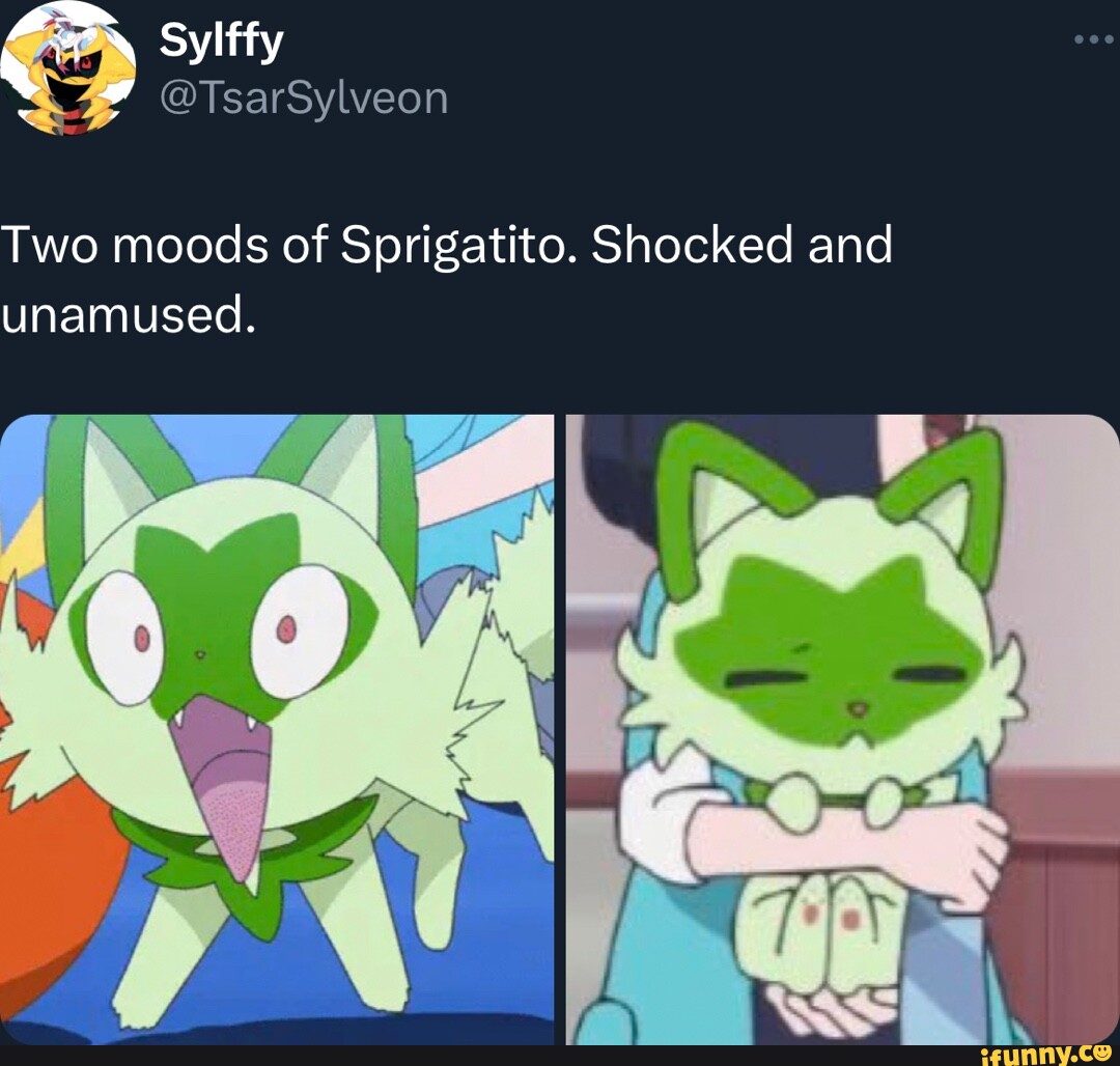 @TsarSylveon Two moods of Sprigatito. Shocked and unamused. - iFunny