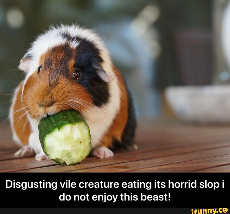 Disgusting vile creature eating its horrid slop i do not enjoy this ...