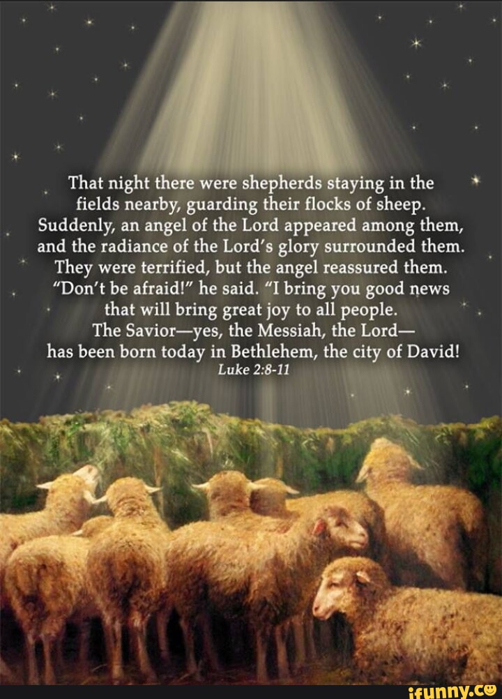 Shepherds memes. Best Collection of funny Shepherds pictures on iFunny