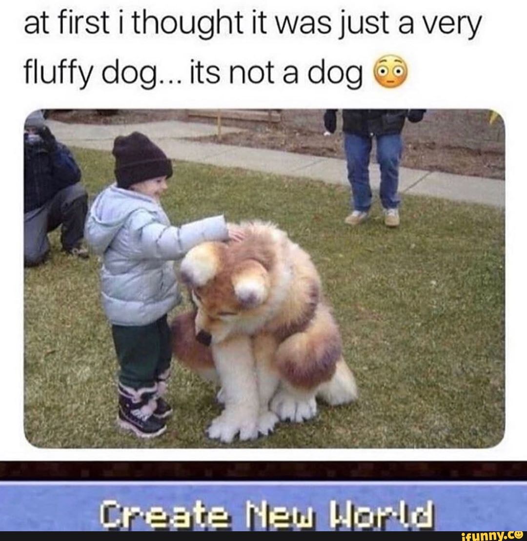 At first i thought it was just a very fluffy dog... its nota dog @9 ...