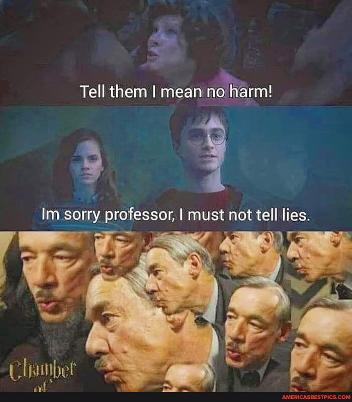 Tell them I mean no harm! Im sorry professor, I must not tell lies. ni ...