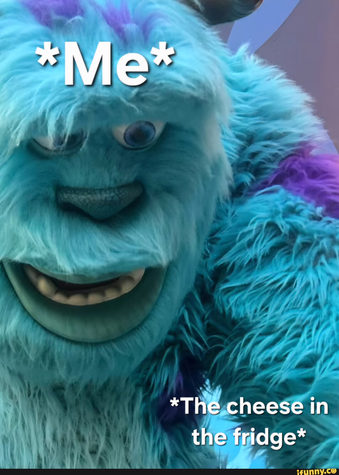 Sully memes. Best Collection of funny Sully pictures on iFunny