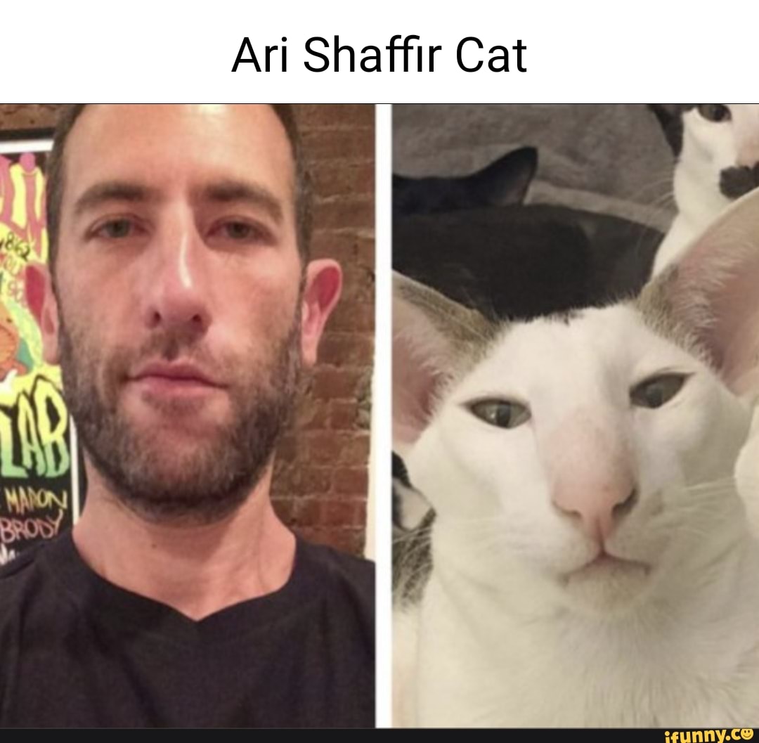 Arishaffir memes. Best Collection of funny Arishaffir pictures on iFunny
