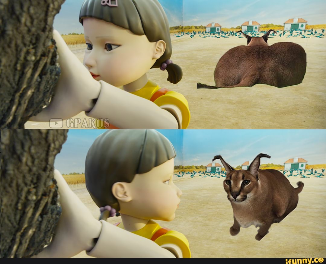 Kimbothewildcat memes. Best Collection of funny Kimbothewildcat ...