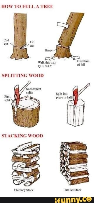 HOW TO FELL A TREE Hinge way SPLITTING WOOD 'Split last picce in hal ...