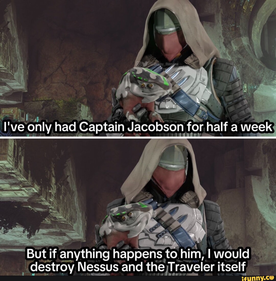 Frog memes. Best Collection of funny Frog pictures on iFunny