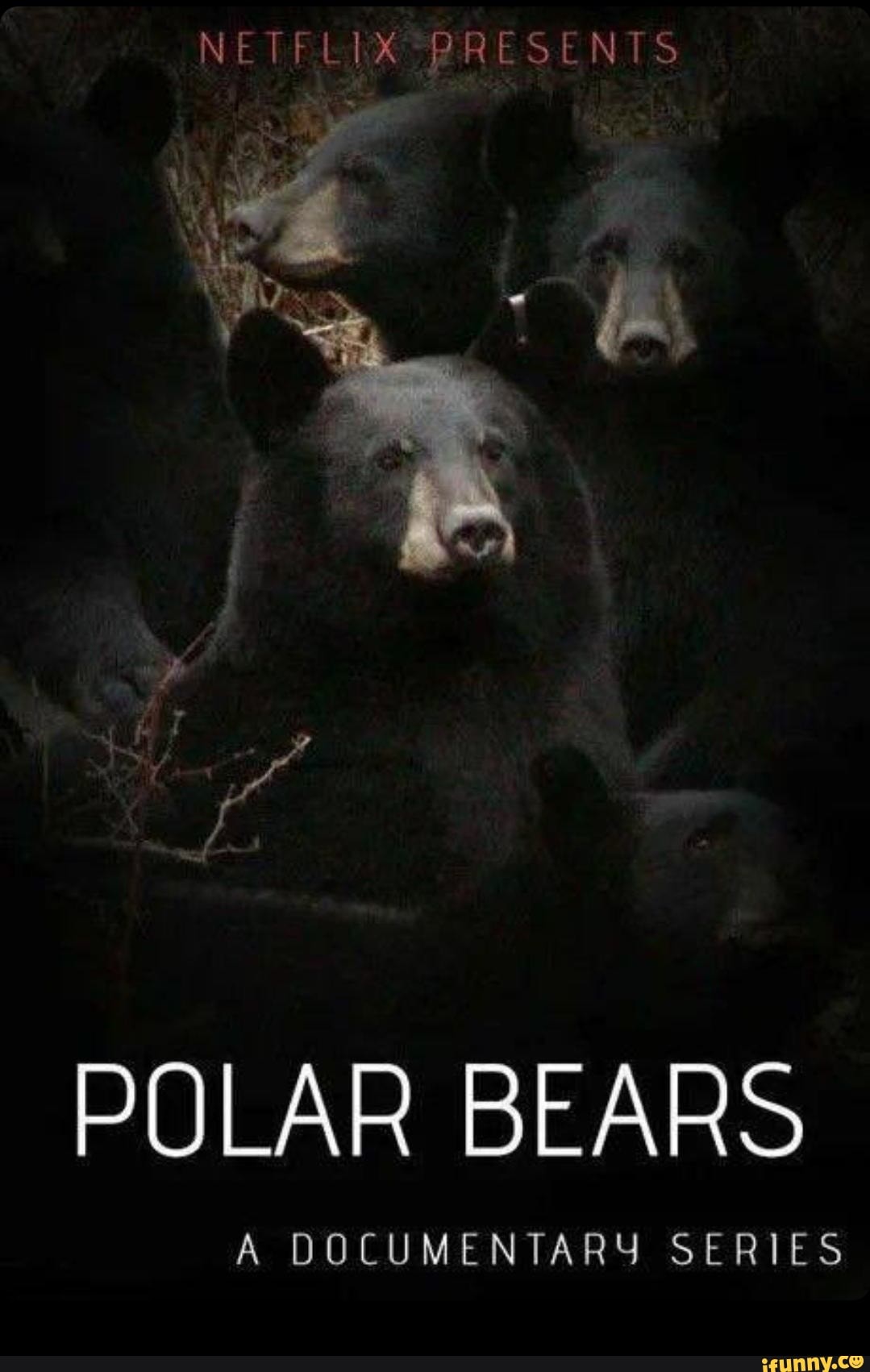 NETFLIX =PRESENTS POLAR BEARS A DOCUMENTARY SERIES - iFunny