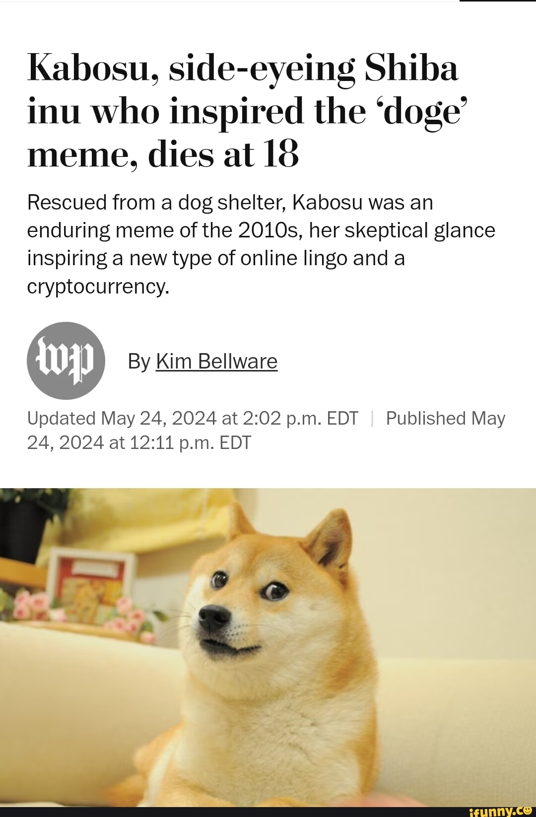 Kabosu, side-eyeing Shiba inu who inspired the 'doge' meme, dies at 18 Rescued from a dog ...