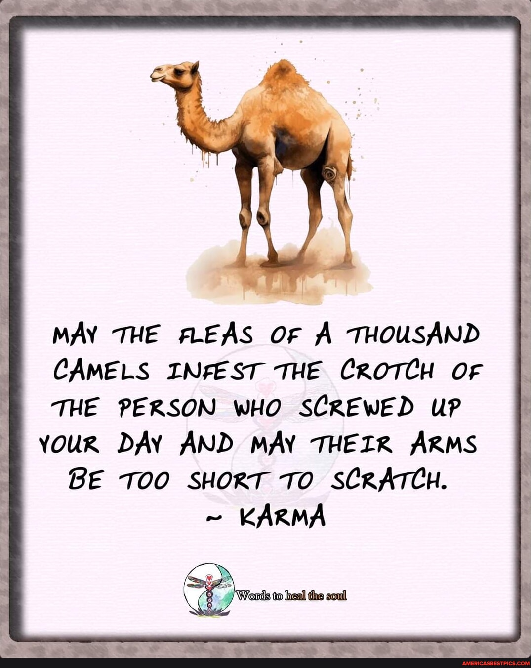 MAY THE FLEAS OF A THOUSAND CAMELS INFEST THE CROTCH OF THE PERSON WHO ...
