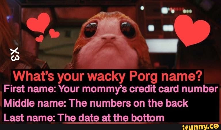 Porg memes. Best Collection of funny Porg pictures on iFunny